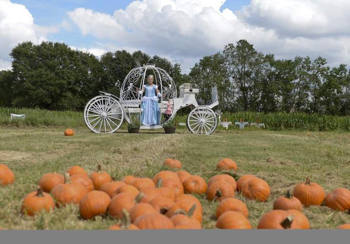 In Hammond, a family tradition brings kids back to the farm ...