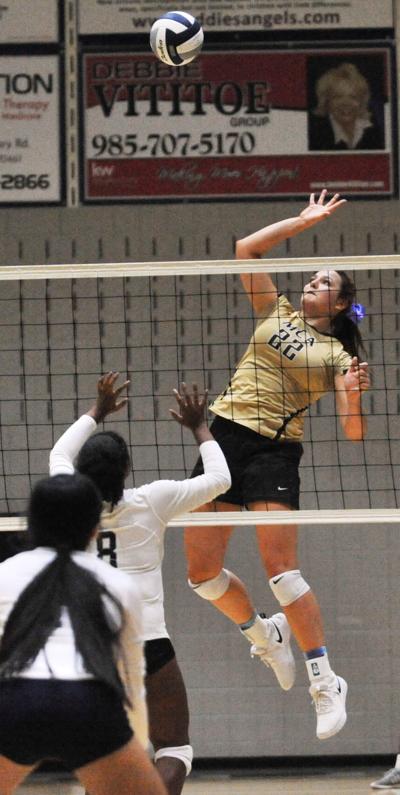 Ellie Holzman leads Mount Carmel to sweep of Northshore in volleyball ...