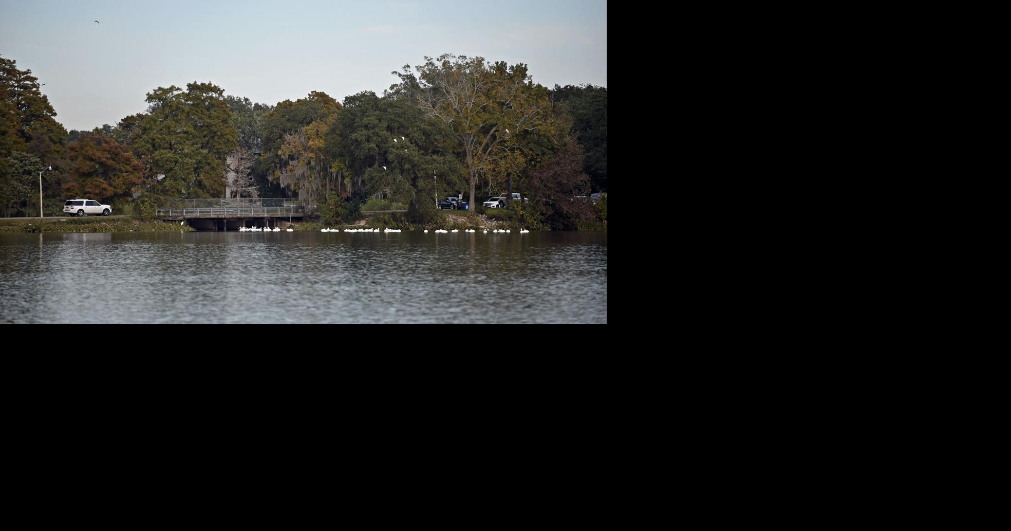 Project advisor selected for LSU lakes cleanup project; dredging slated ...