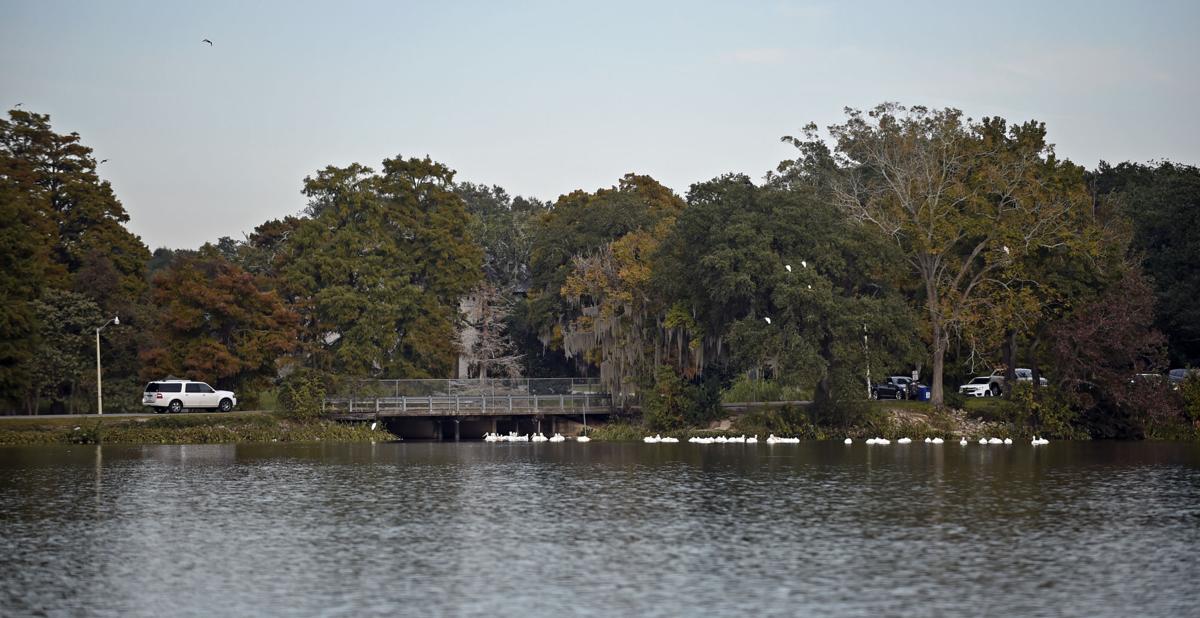 Project advisor selected for LSU lakes cleanup project; dredging slated ...