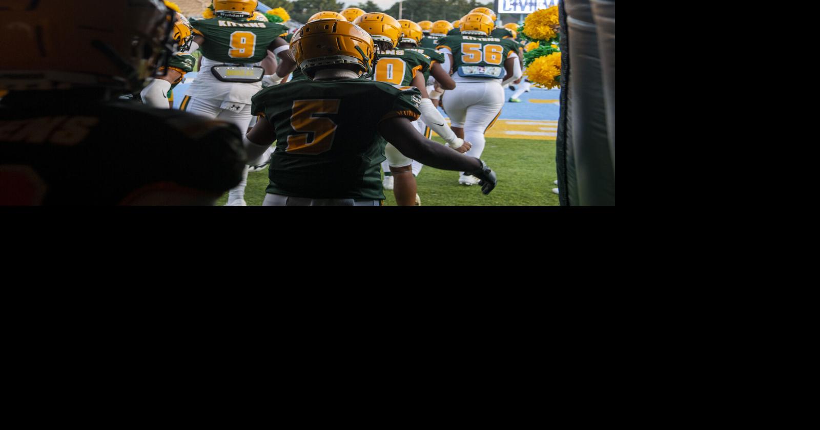 LHSAA releases new split playoff structure: 4 divisions for select ...