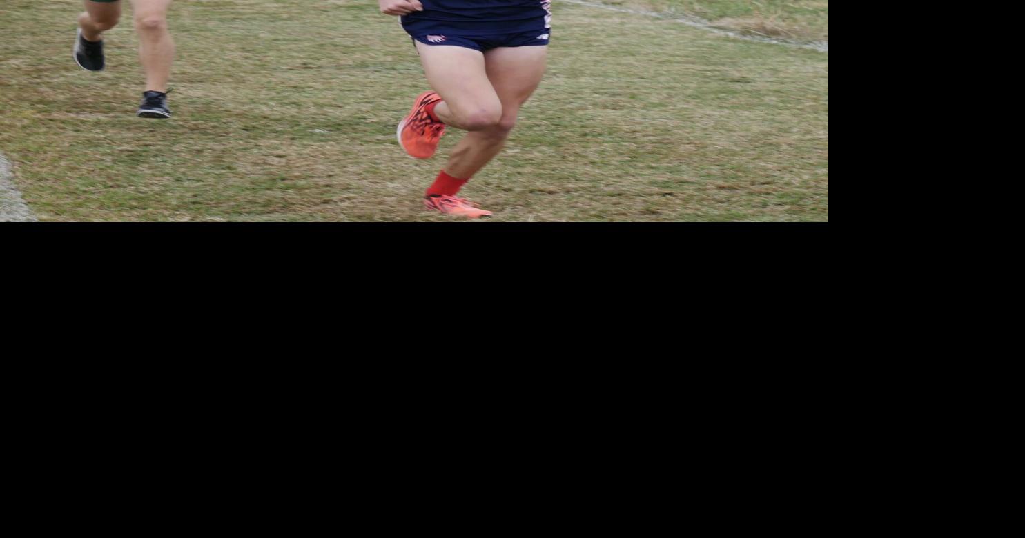 Three Baton Rouge teams win titles at LHSAA cross country | High School ...