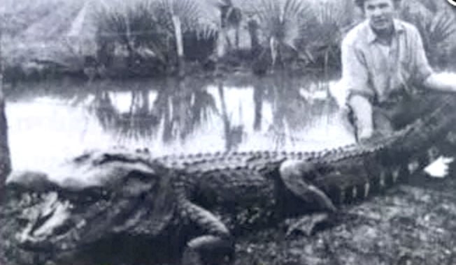 50 years after being asked to leave Weeks Island, 200 return for ...