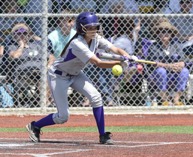 Photos: State softball Tournament | News | theadvocate.com