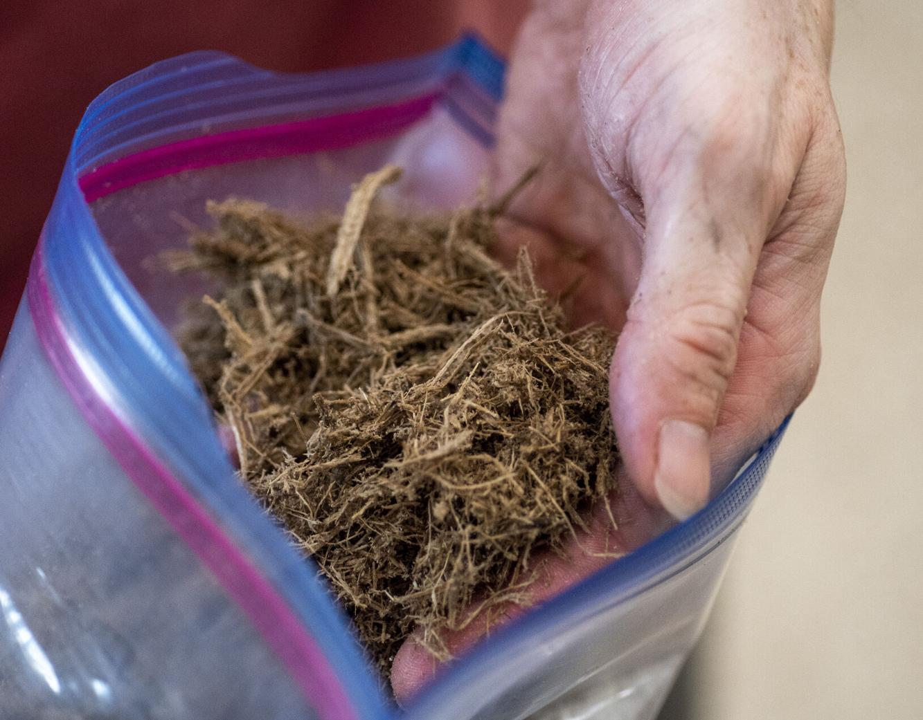 What is bagasse and how is it used? | Baton Rouge | theadvocate.com