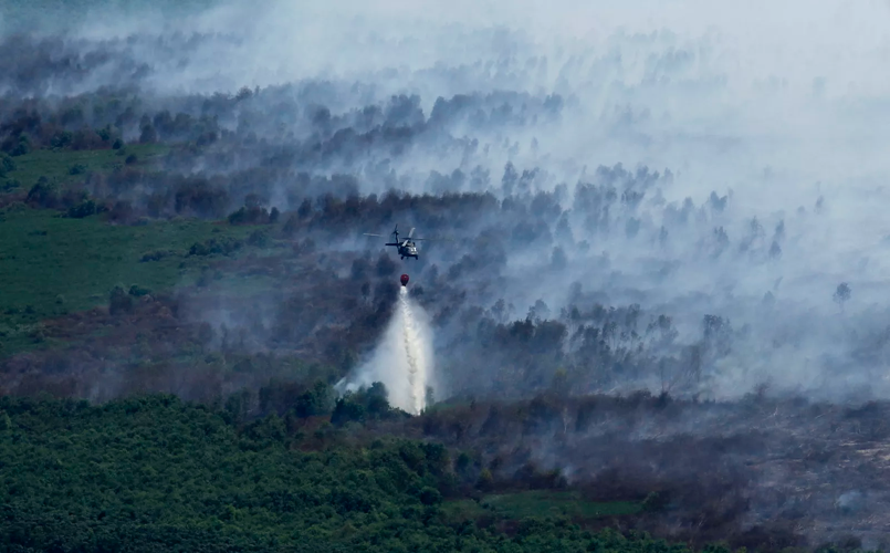 Why was no emergency declared over the N.O. East swamp fire ...