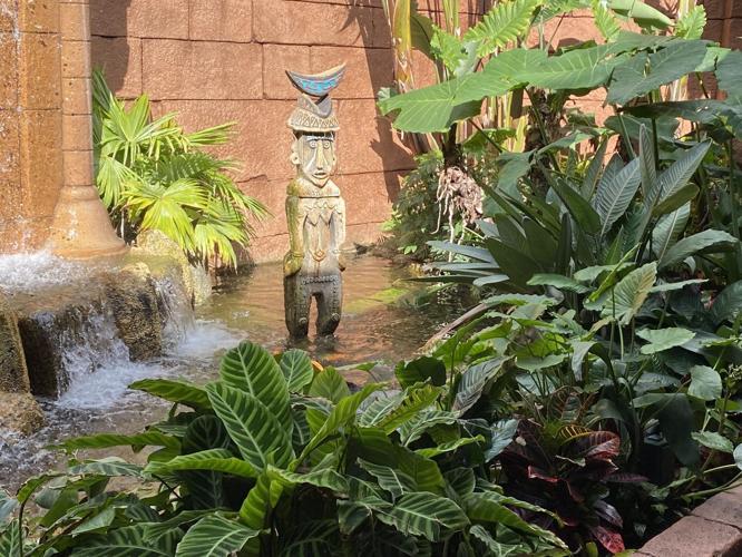 LSU Garden News: Yes, you can create your own backyard paradise | Home ...