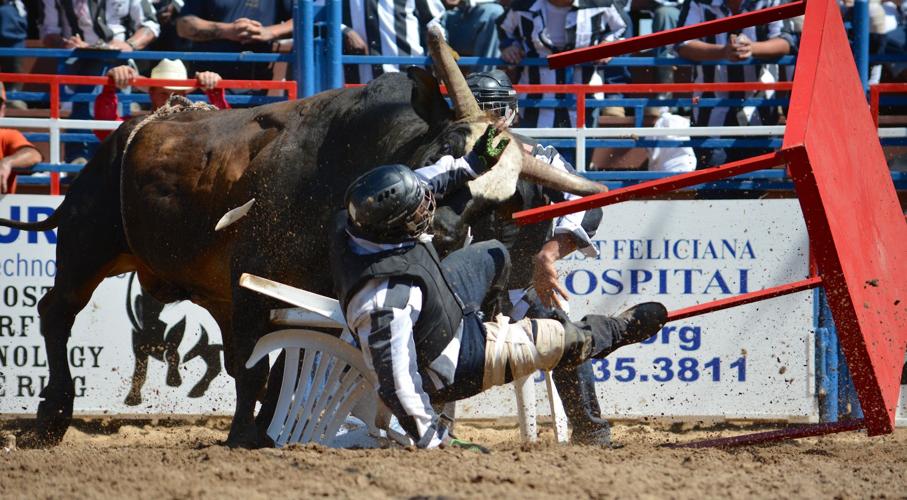 Guts and glory | | theadvocate.com