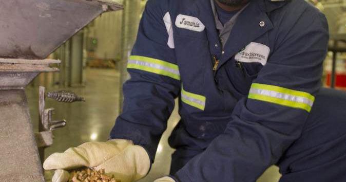Power from pellets Drax facilities boost timber industry in Louisiana ...