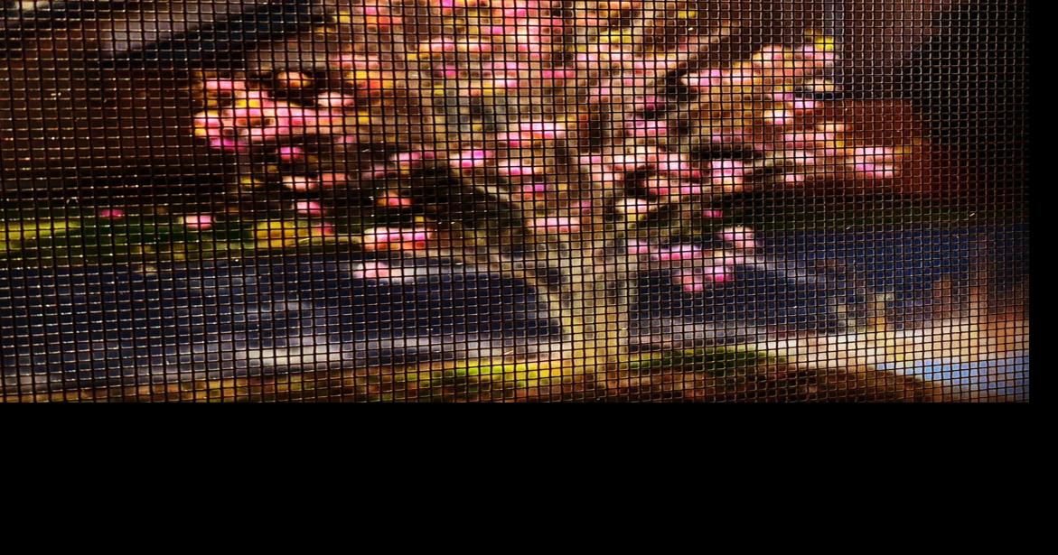 Jan Risher: Feeling sentimental at a change of seasons and hopeful for ...