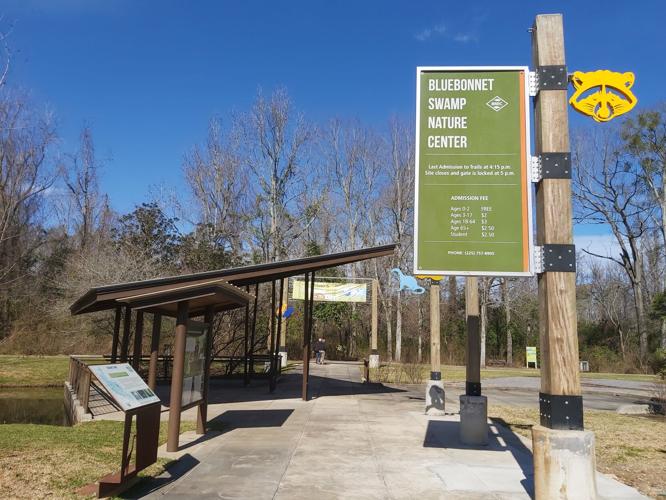 Bluebonnet Swamp: a perfect short hike | Entertainment/Life ...