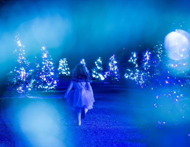 Louisiana Lights at Windrush Gardens transform the landscape | Baton ...