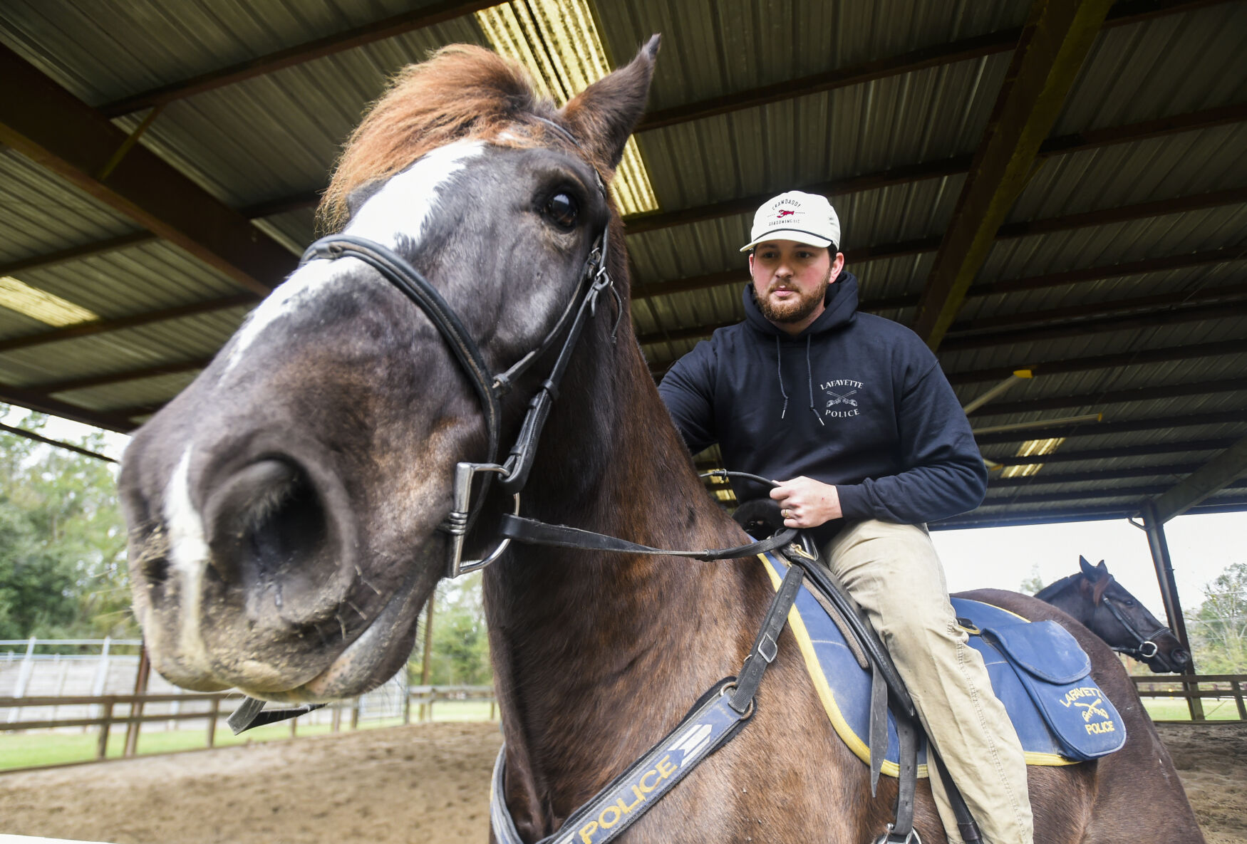Unmasking the mounted unit: Lafayette police on horseback | Acadiana ...