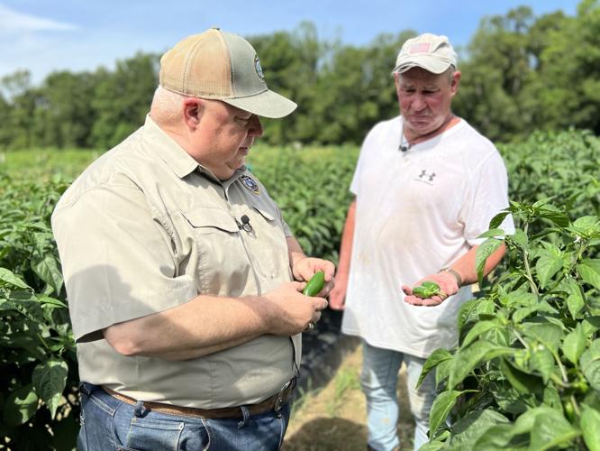 Celebrating Louisiana’s specialty crops: Local farmers boost economy ...