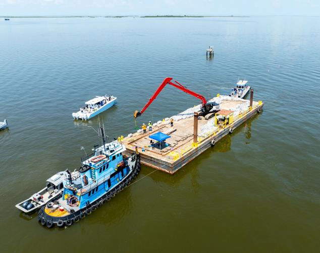 'Cajun coral' builds an artificial reef off Louisiana coast ...