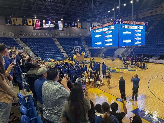 McNeese State headed back to NCAA men's tournament | Acadiana Home ...