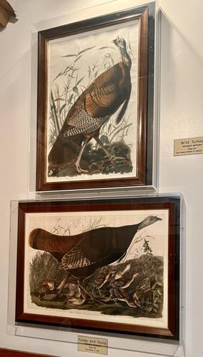 Tracing Audubon's legend begins in St. Francisville, La ...