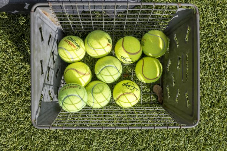 Quin Hillyer: NORD can learn from Arthur Ashe and Wimbledon | Opinion ...