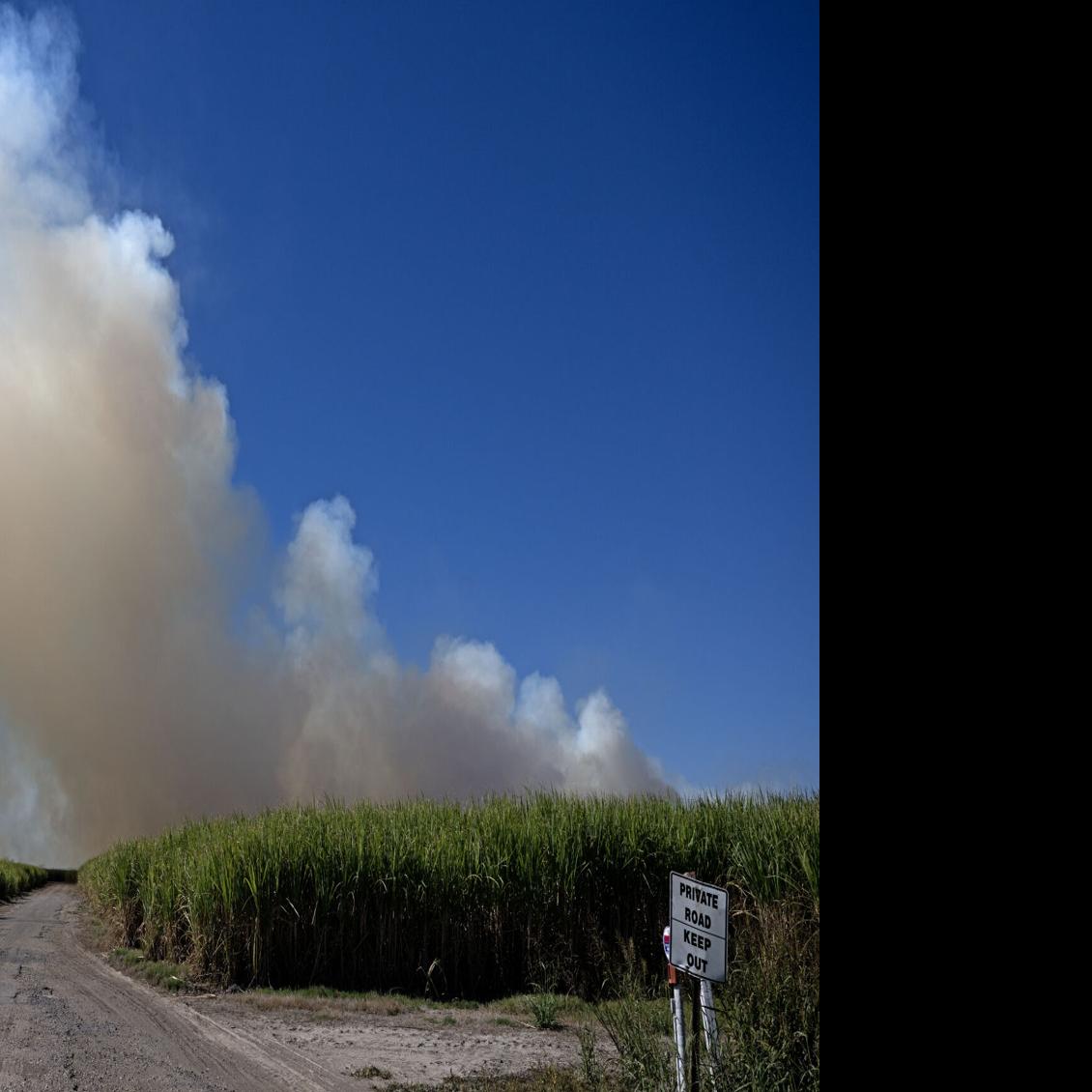 burning sugar cane fields