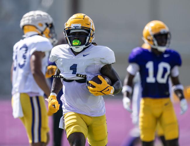 LSU football: Tigers' projected offensive depth chart | LSU ...