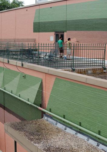 From prairie to swamp scenes, Lafayette’s city hall is being ...