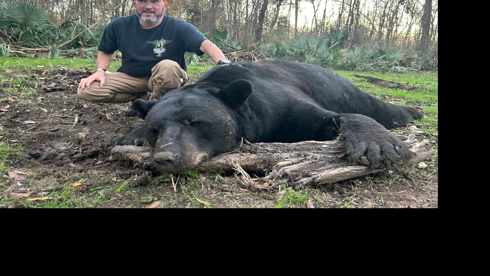 Black bear hunting in Louisiana returned after 35 years | Environment ...