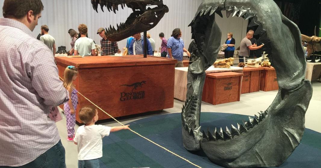A free dinosaur museum is heading to West Baton Rouge | Westside ...