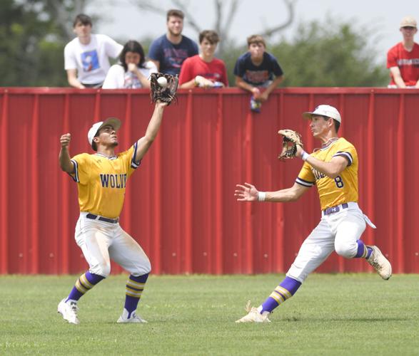 Reigning champion North Vermilion returns to state tourney with sweep ...