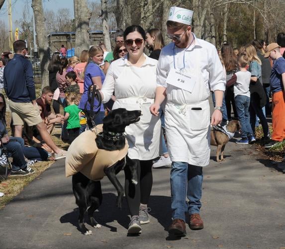 Costumed pets and their owners fill Sidney Hutchinson Park for Bark in ...