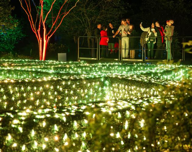 Louisiana Lights at Windrush Gardens transform the landscape | Baton ...