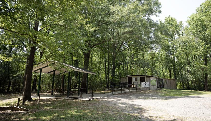 Baton River river gauges were casualty of budget cuts | Business ...