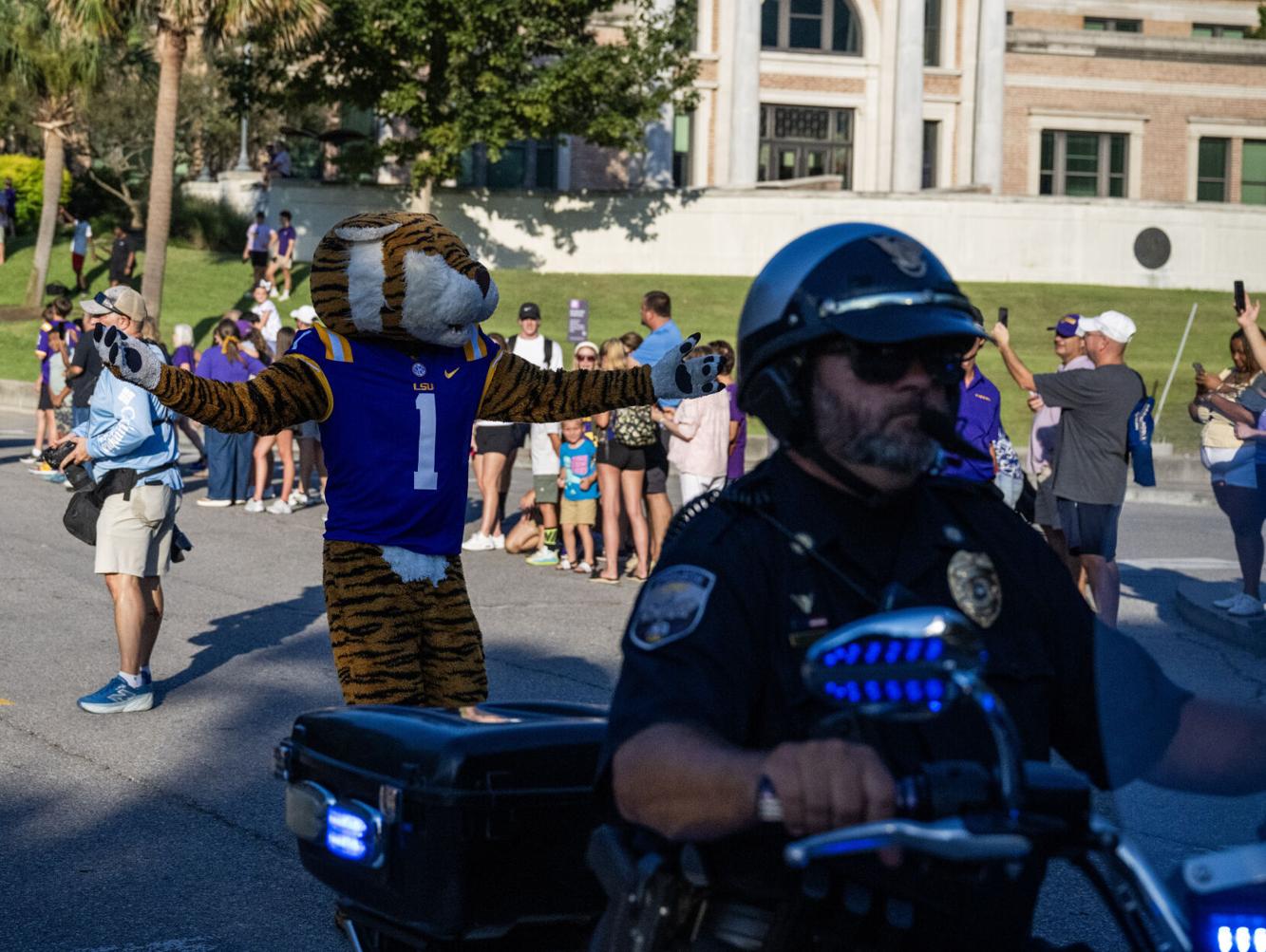 Photos: It's nearly LSU game day! See band, cheerleaders, Golden Girls ...