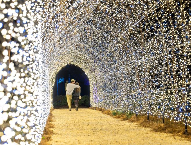 Louisiana Lights at Windrush Gardens transform the landscape | Baton ...