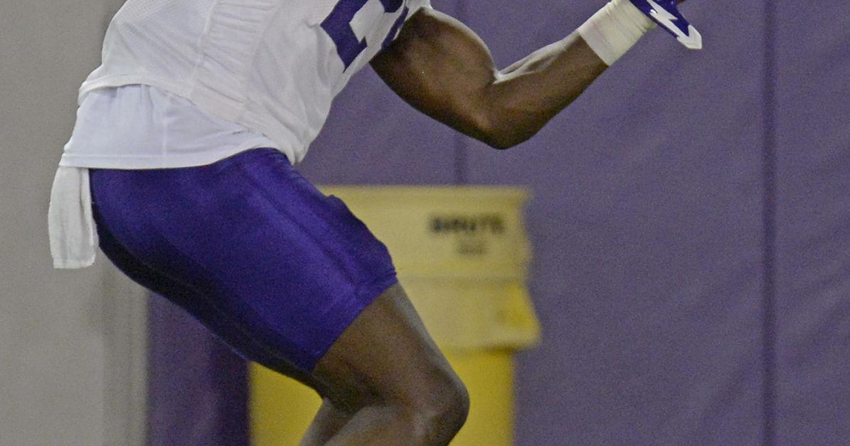 Emerging at wide receiver for LSU is a familiar name: Drake Davis | LSU ...