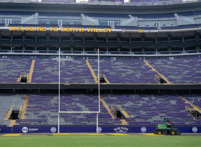 The grass at LSU's Tiger Stadium | Baton Rouge | theadvocate.com
