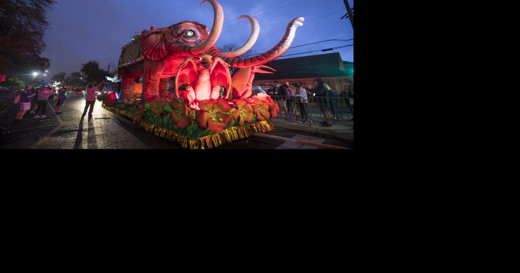 Photos: Sparta and Pygmalion parades roll Uptown to thrilled crowds ...