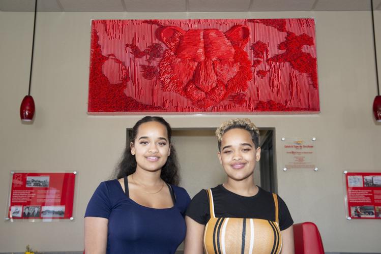 Lee High twins sculpt Tiger face from 230K Sonic straws; see how ode to ...