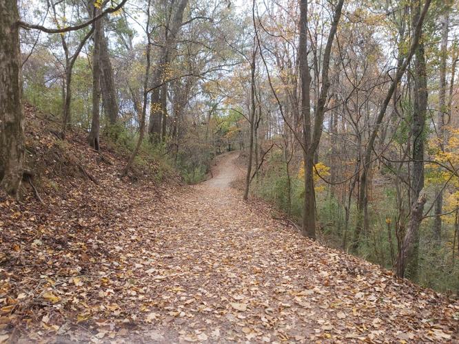 Looking for waterfalls? Hike Mississippi's Clark Creek | Entertainment ...