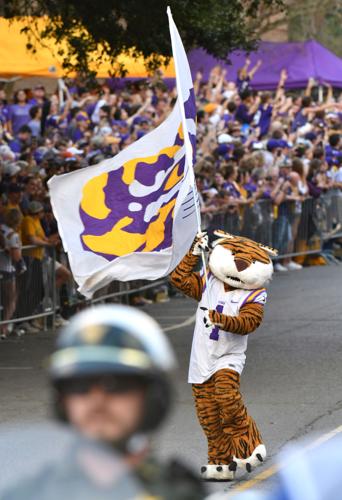 Where will LSU's national championship football team parade Saturday ...