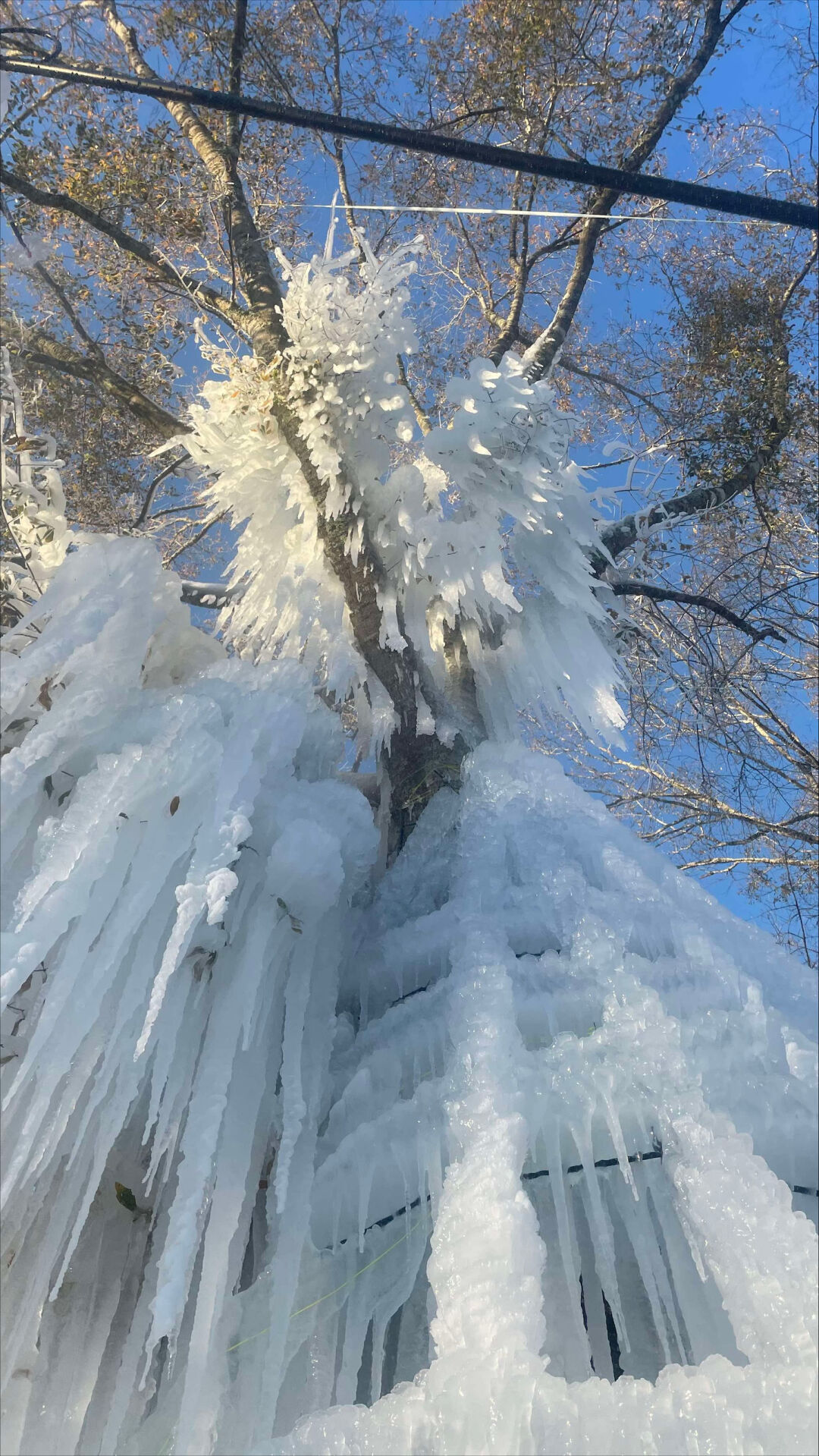 Baton Rouge-area family makes ice sculpture during snowstorm | Baton ...