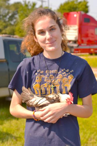 From plates to pets: Designer chickens transcend previous roles | Mid ...