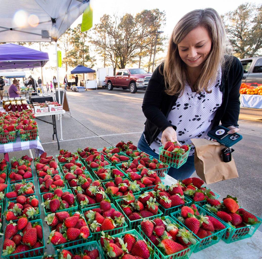 Here's where you can pick strawberries in Louisiana. | Entertainment ...