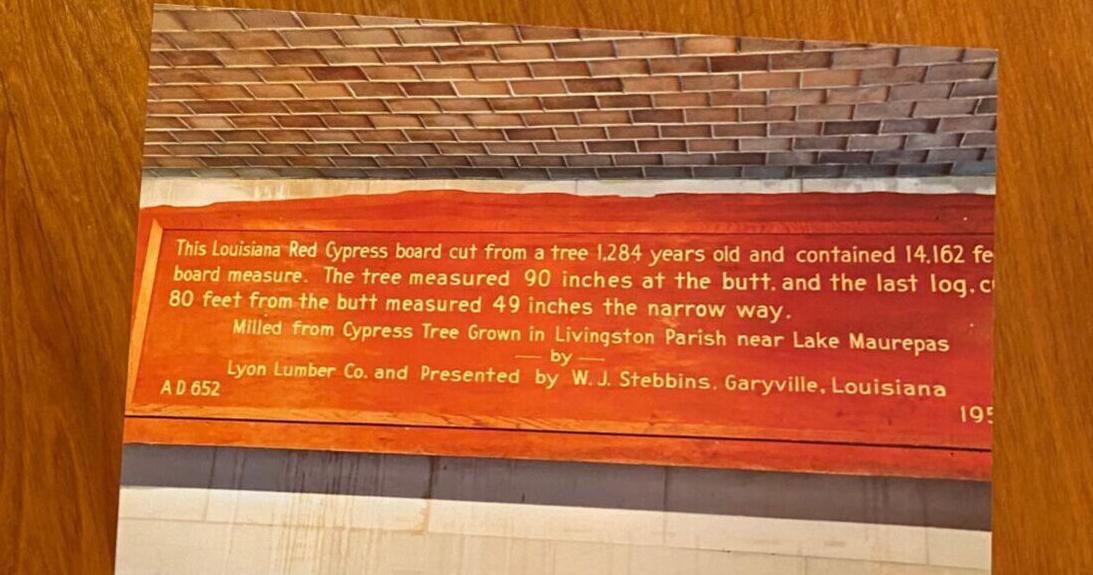 What's the cypress board Clay Schexnayder allegedly stole | State ...