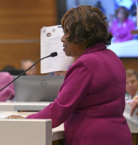 Metro Council grills parish officials over stormwater debacle, rejects ...