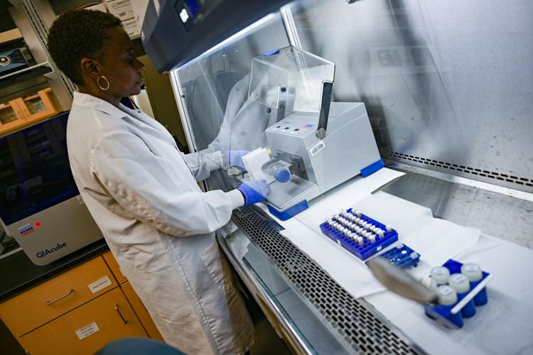 Mosquitoes trapped, tested to fight West Nile in Louisiana | News ...