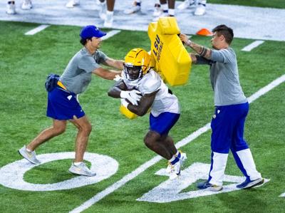 Aaron Anderson could fix LSU's special-teams problems | LSU ...