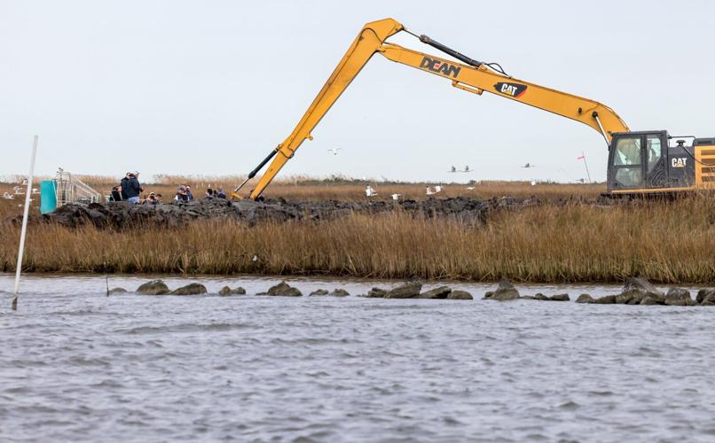 Louisiana’s biggest marsh creation project showcased | Environment ...