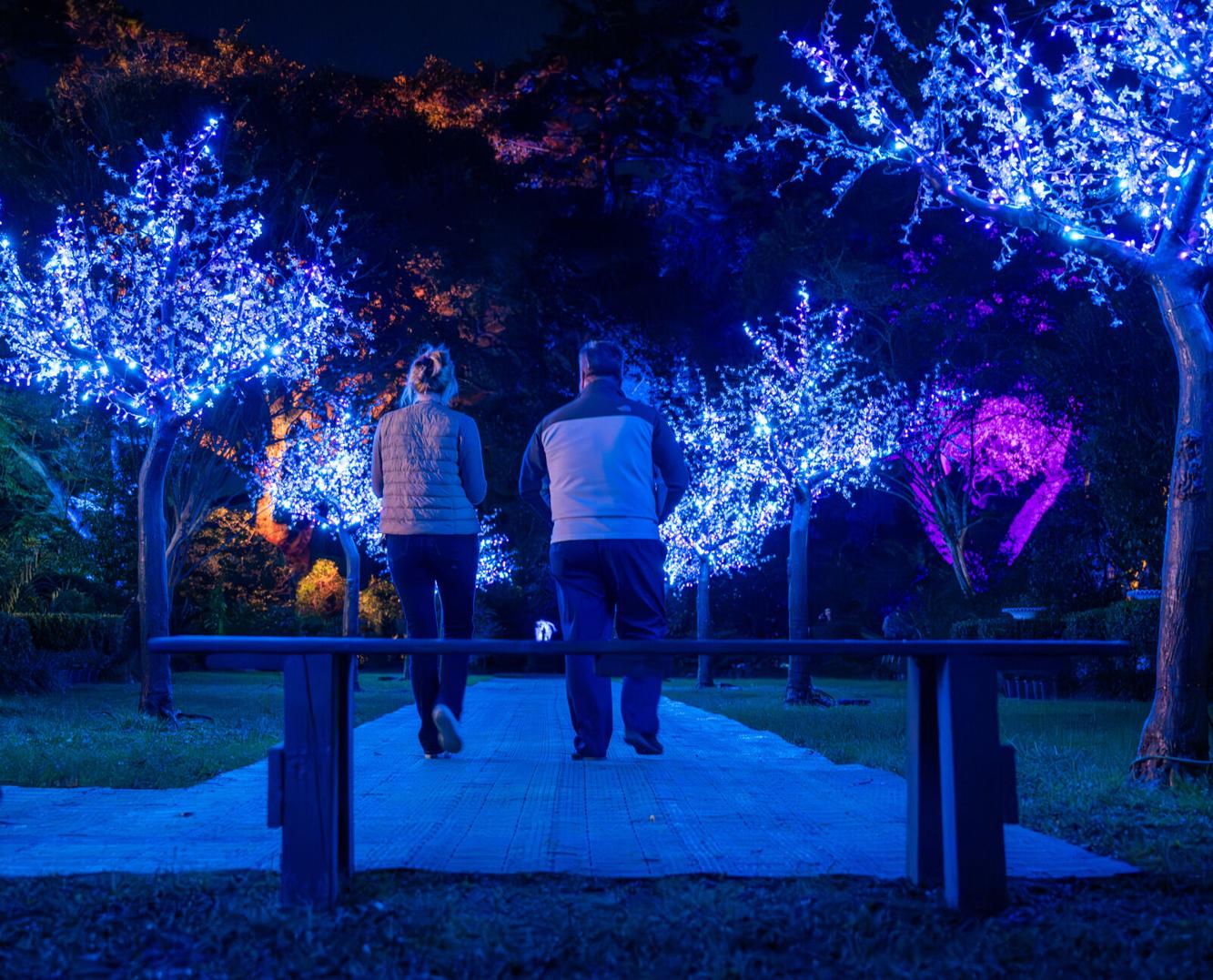 Louisiana Lights at Windrush Gardens transform the landscape | Baton ...