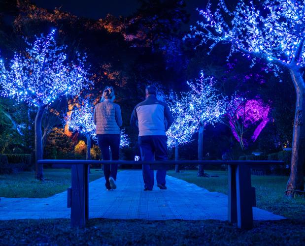 Louisiana Lights at Windrush Gardens transform the landscape | Baton ...