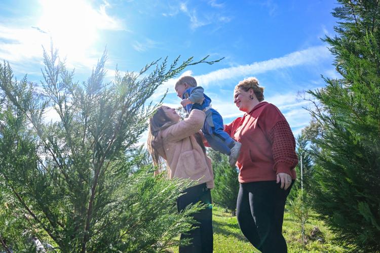 Windy Hills Tree Farm opens for families looking for fresh trees | East ...